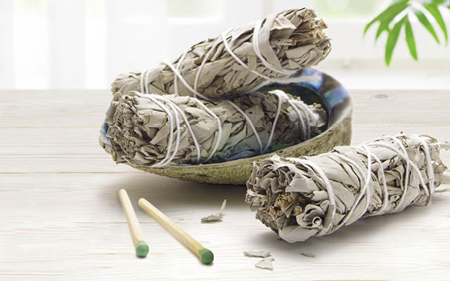 Can You Smoke Sage? Exploring the Tradition and Potential Effects ...